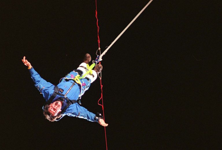 Triple-Person Swing planned for Queenstown - Kiwi Kids News