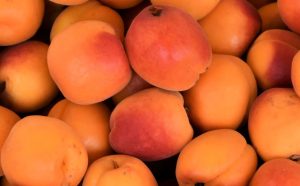 3 new types of Apricots for New Zealand - Kiwi Kids News