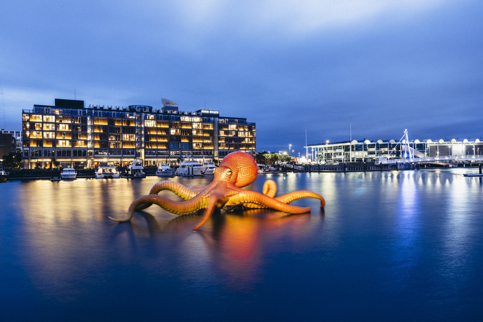 Octopus sculpture swims into Auckland - Kiwi Kids News