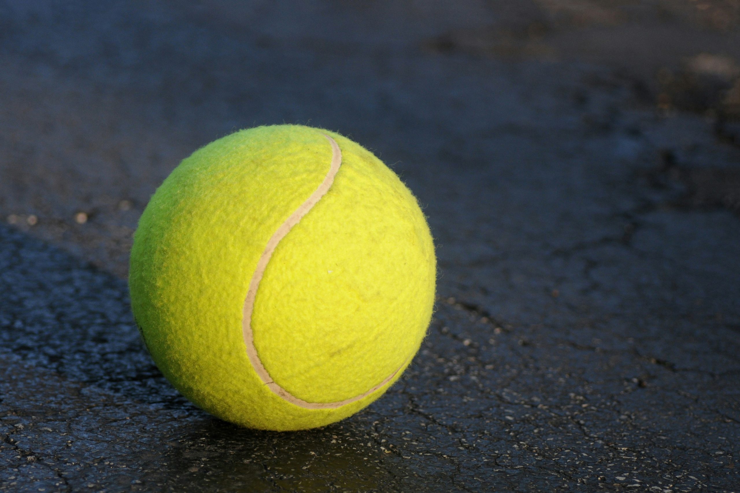 Rush catches tennis ball behind back - Kiwi Kids News